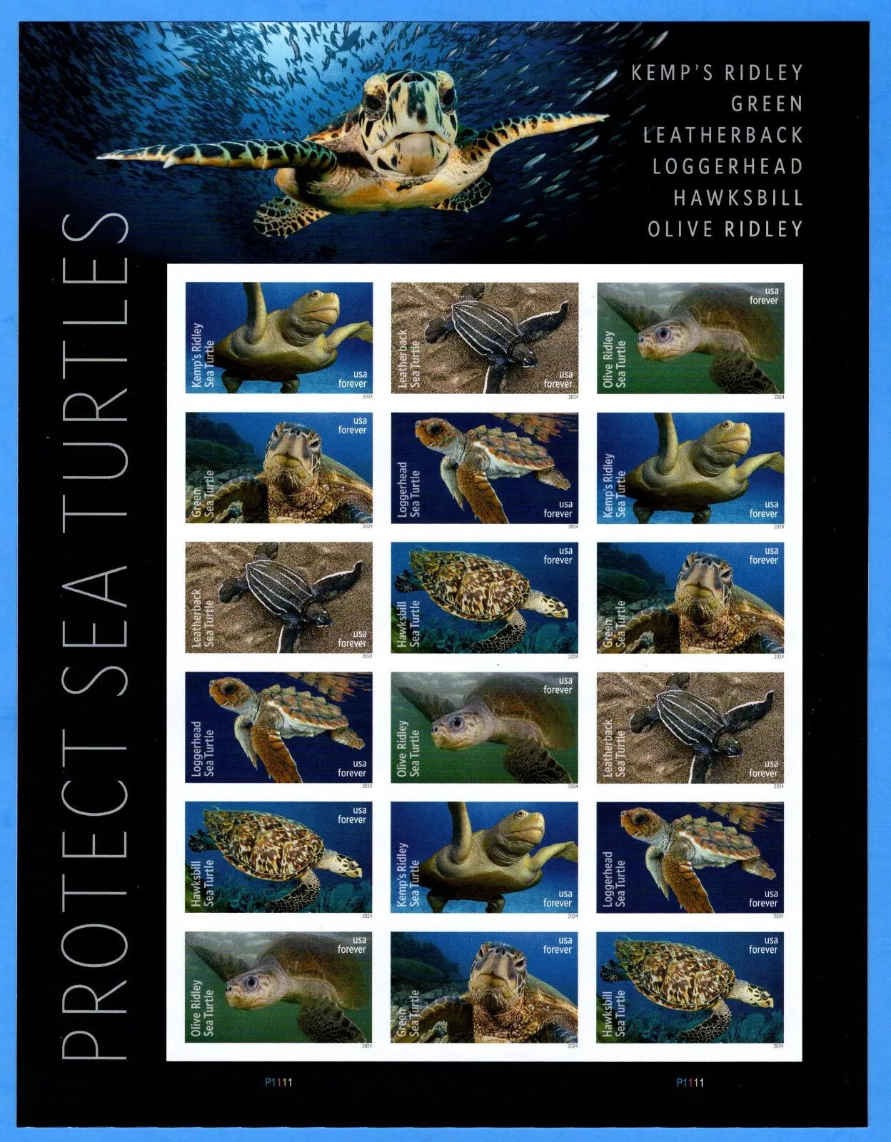 2024 USA Protect Sea Turtles Forever Stamps – Outfitees